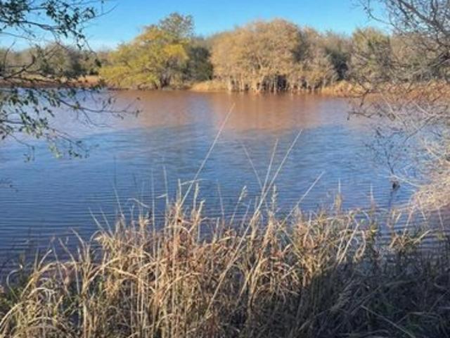 487 County Road 116, Girard, TX 79518
