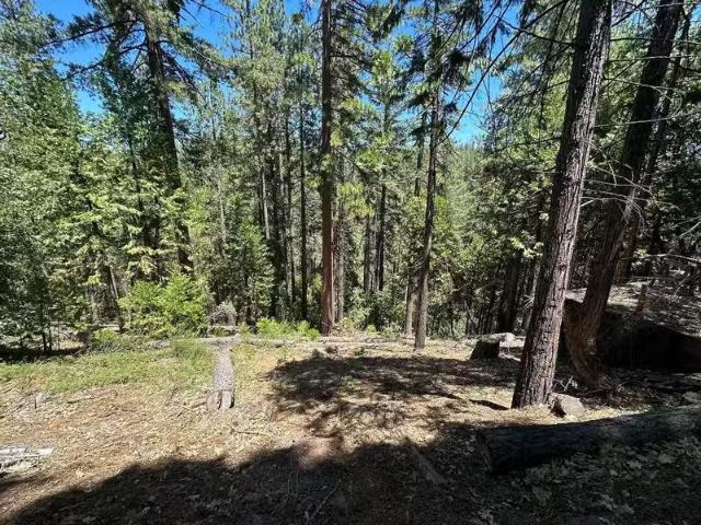 487 Canyon View Drive, Hathaway Pines, CA 95233 645467925