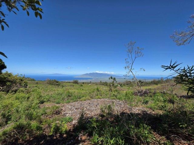 487 Cross Rd, Kula, HI 96790