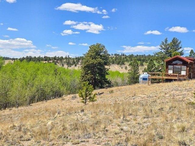 487 Indian Ln, Hartsel, CO 80449