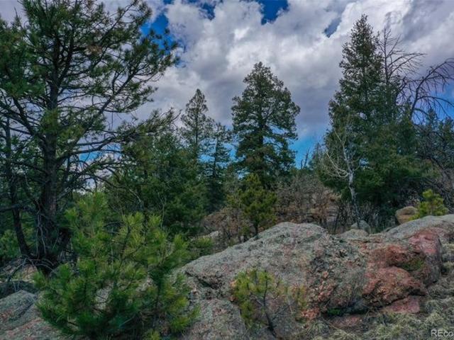 487 Pikeview Ln, Florissant, CO 80816