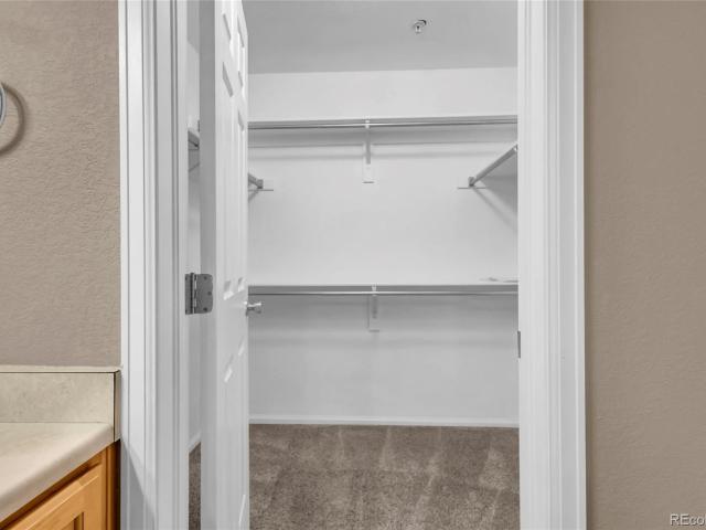 488 Black Feather Loop, Unit 215, Castle Rock, CO 80104 | MLS #9537