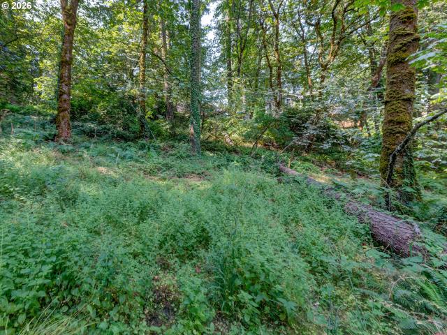 4899 elva ln
