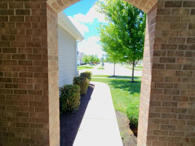 4890 Mimosa Drive