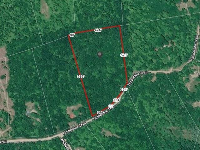 4890 Timberline Trl, Mitchell Township, MI 48705