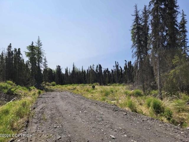 48927 Rustic Ave, Soldotna, AK 99669