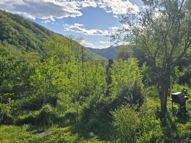 4893 Stanaford Rd, Prince, WV 25907