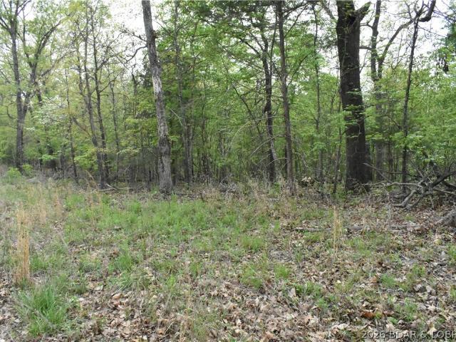 489 Chalk Hollow Point