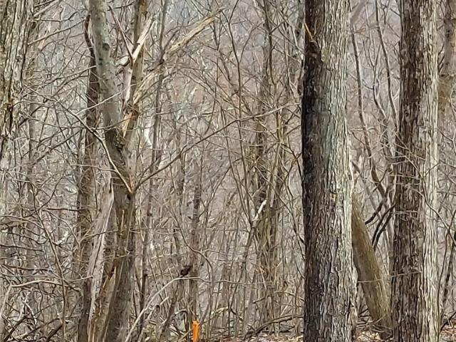 489 Grape Hollow Rd, Holmes, NY 12531 | MLS #H6328