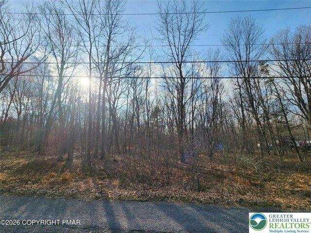 489 Panther Run Rd, Penn Forest Township, PA 18229