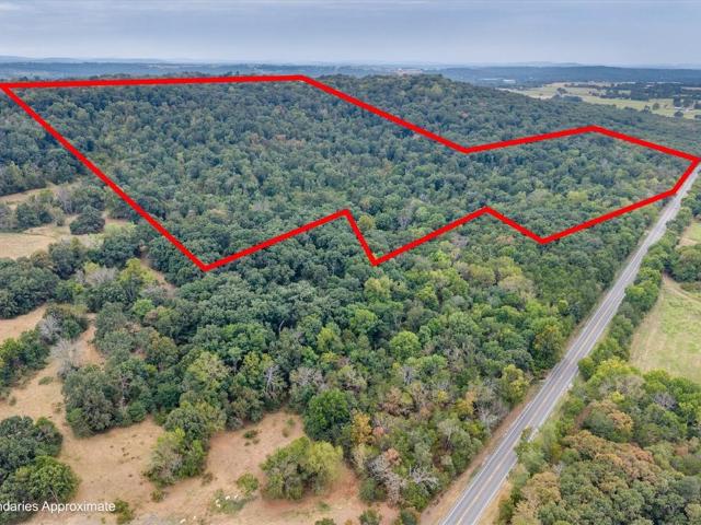 48.77 Acres Hwy 45