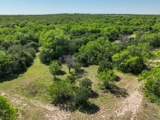48.25 Acres County Road 114, George West, TX 78466