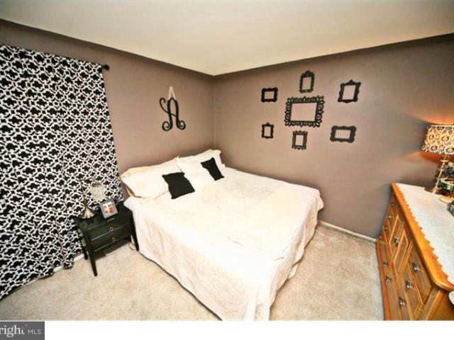 48 White Birch