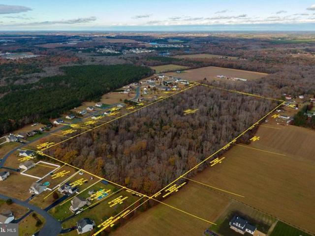 48 Acres Morris Mill Rd W, Millsboro, DE 19966