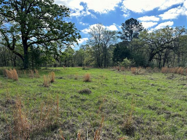 48 Brumley St, Huntsville, TX 77320 | MLS #96281