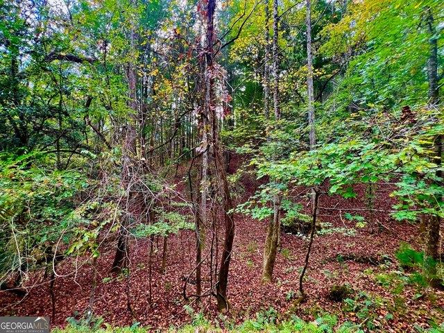 48 Cascade Ct, Rockmart, GA 30153