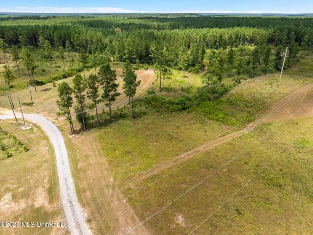 48 Clear Pines Drive