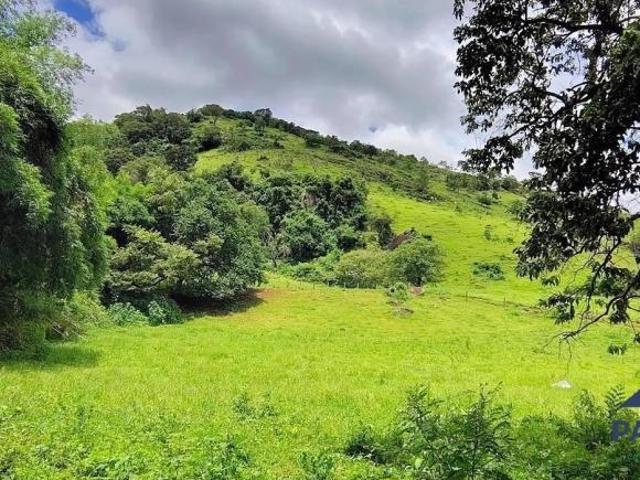 48 Ha Estratégicos na Serra da Mantiqueira com Logística Premium!