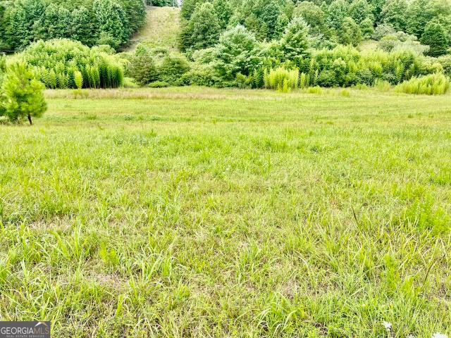 48 Madeline Way, Blairsville, GA 30512 | MLS #10349