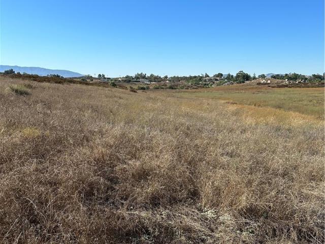 48 Mazoe St, Winchester, CA 92596 | MLS #SW23162 | Compass