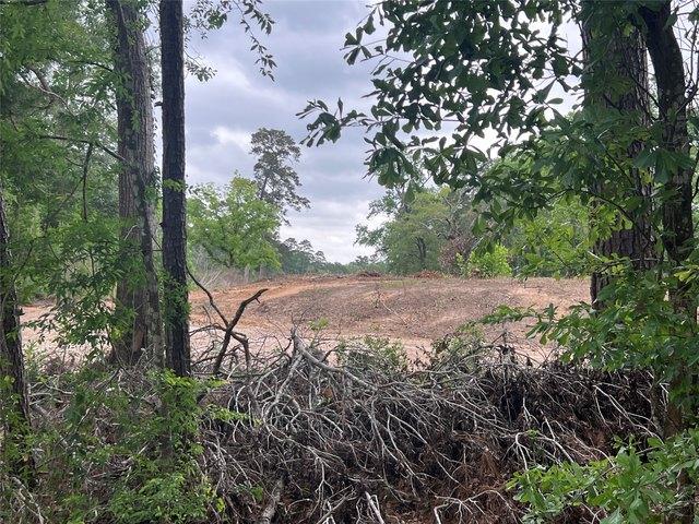 48 Robert E Lee Dr, Conroe, TX 77302