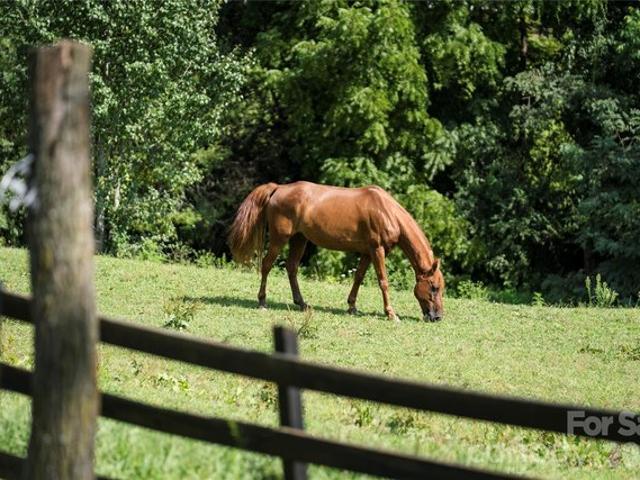 48 Silent Forest Dr, Canton, NC 28716