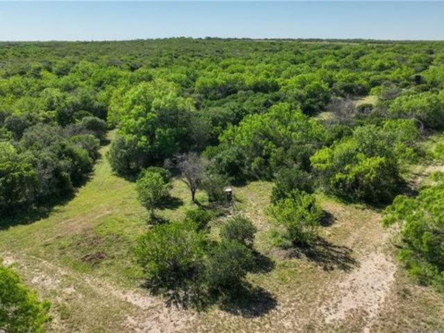 48AC County Road 114, George West, TX 78022