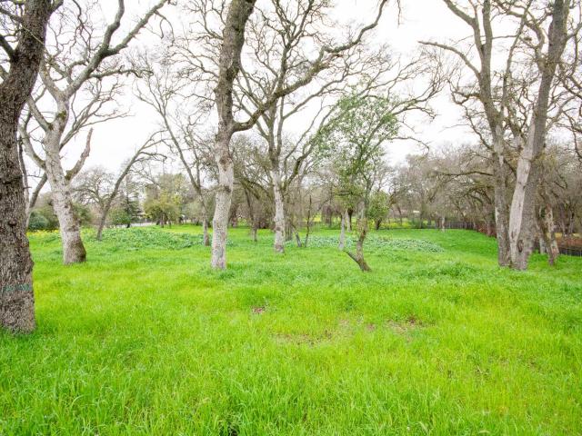4904 Manzanita Ave, Carmichael, CA 95608 | MLS #226022 | Compass
