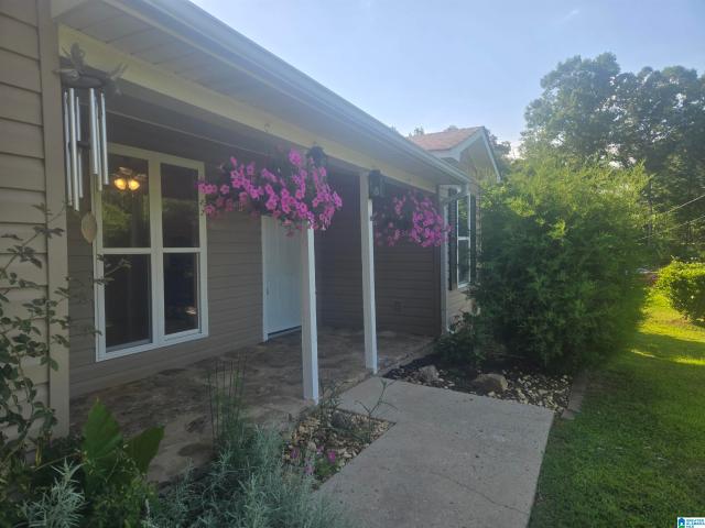 4905 County Highway 1