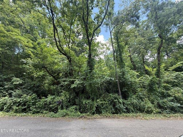 4907 Parva Dr, Knoxville, TN 37914