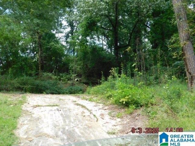 4908 Branchville Rd Lot 15, Trussville, AL 35173