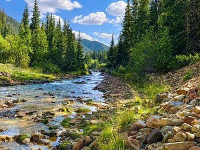 4900 County Road 110, Silverton, CO 81433