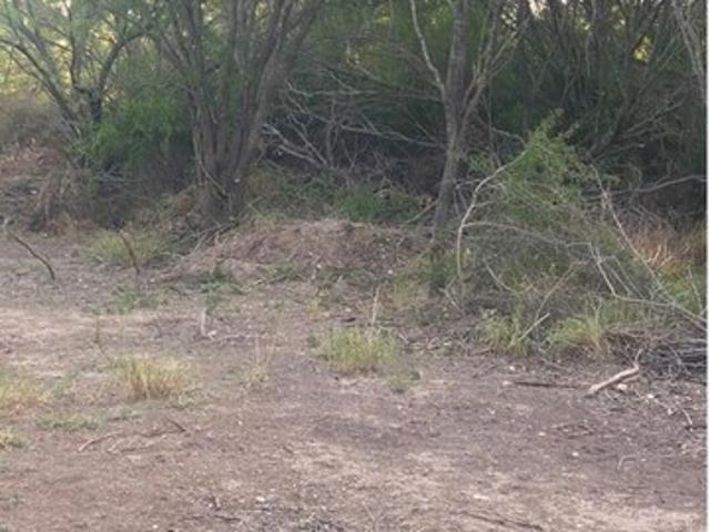 490 D Chavarria Rd
