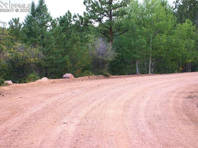 490 Spruce Cir, Divide, CO 80814 | MLS #4411 | Compass
