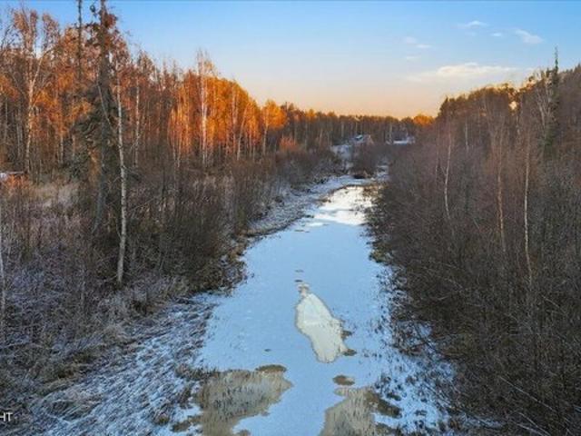 49168 S Hunter Dr, Willow, AK 99688
