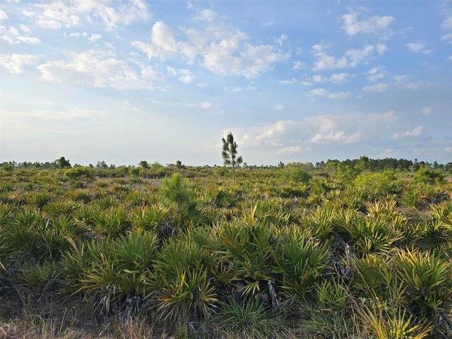 49173 Bermont Rd, Punta Gorda, FL 33982