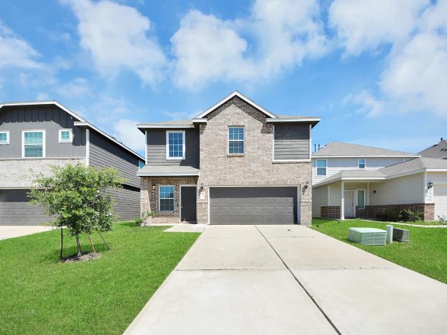 4911 Yellow Ginko Trail