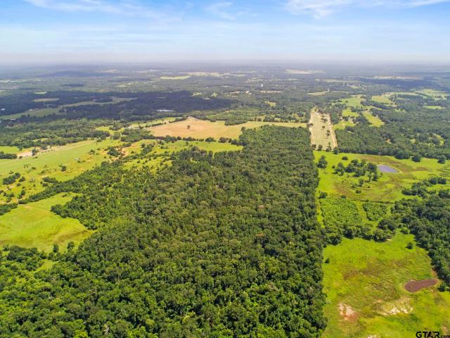 4912 CR 4912, Ben Wheeler, TX 75754 | MLS #25009 | Compass