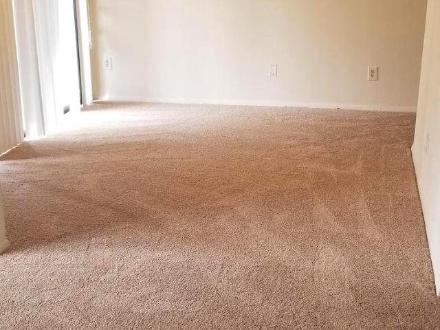 491 N Armistead St, Unit 101, Alexandria, VA 22312 | MLS #VAAX2059
