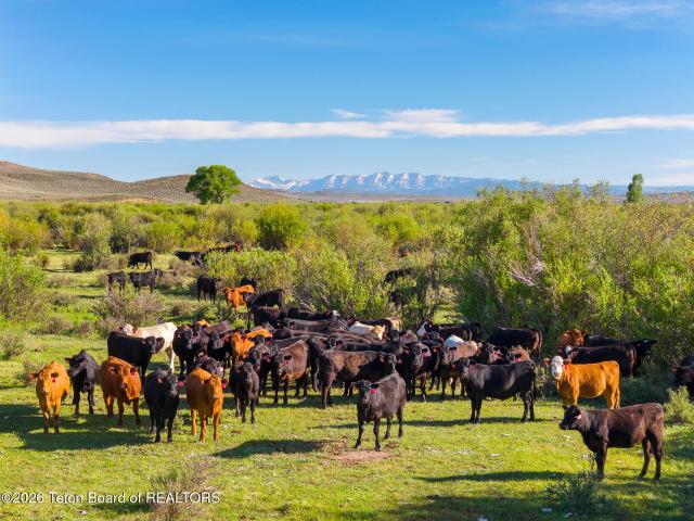 491 State Highway 354, Daniel, WY 83115 | MLS #25 2204