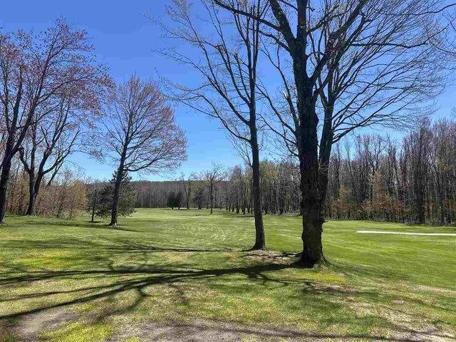 4925 Eastwind Way Lot 4, Harbor Springs, MI 49740