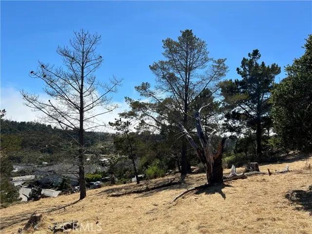 4925 Grove, Cambria, CA 93428 | MLS #SC23001 | Compass