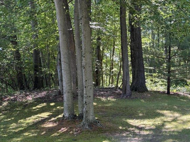 4925 S Gordon Ave NE, Newaygo, MI 49337