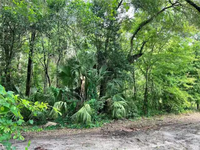 4929 SW 63RD BLVD, GAINESVILLE, FL 32608 Vacant Land For Sale.