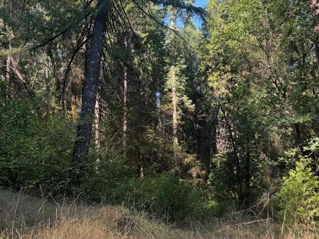 4920 Arctic Ln, Grizzly Flats, CA 95636 | MLS #226038