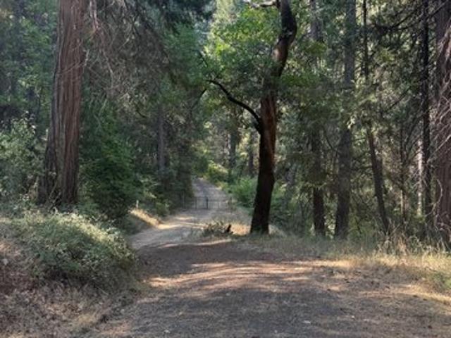 4920 Arctic Ln, Grizzly Flats, CA 95684