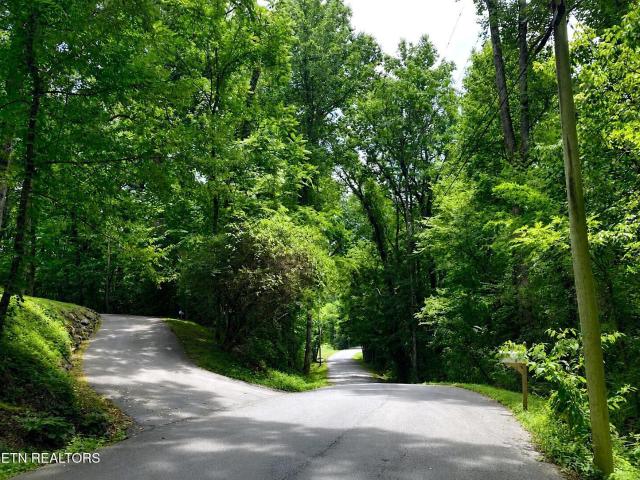 4921 Wise Hills Rd 1