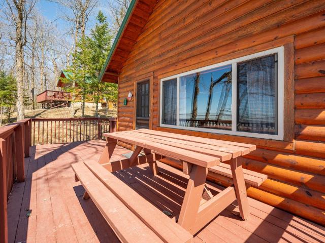 49231 County Road 173 # Cabin 3