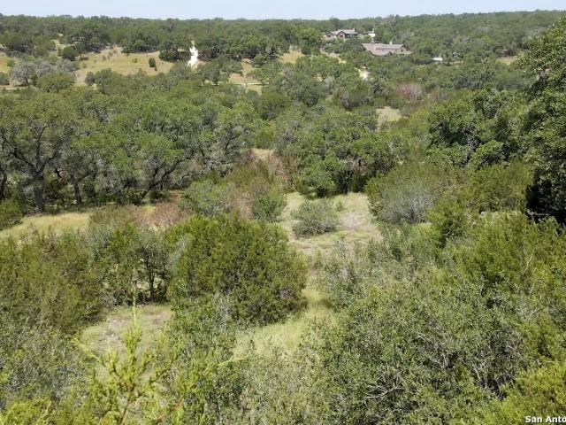 492 Havasu Point, Spring Branch, TX 78070 | MLS #1843