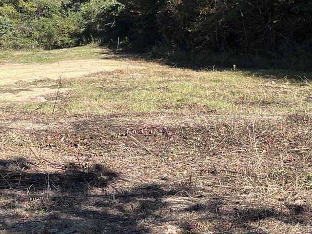 492 Lowder Frk, South Shore, KY 41175